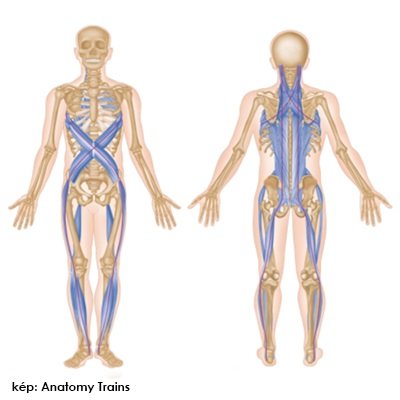 Mi az a fascia? Mit kell vele csinálni? | TATÁR SZILVI
